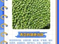 青豆的功效与作用_青豆的营养价值有哪些