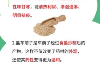 车前子功效与作用_车前子怎么吃最好