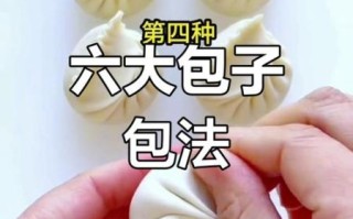 包子包法有几种_包子怎么包才不漏馅