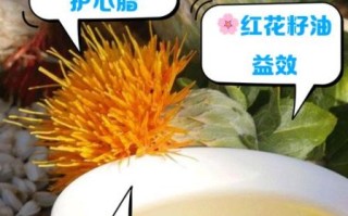 红花籽油怎么吃_红花籽油适合凉拌吗