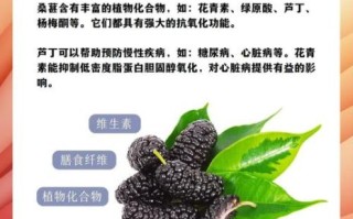 桑椹的作用和功效有哪些_桑椹怎么吃效果最好