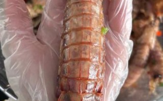 椒盐虾爬子怎么做_椒盐虾爬子怎么保存