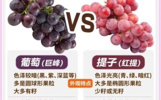 葡萄和提子哪个补血好_吃哪种更有效