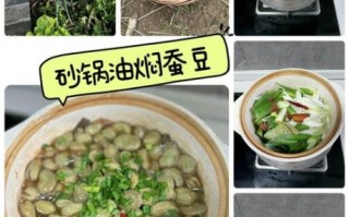 饭店油浸蚕豆怎么做_油浸蚕豆做法窍门