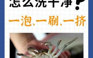 螃蟹太脏了怎么洗干净_活蟹清洗步骤