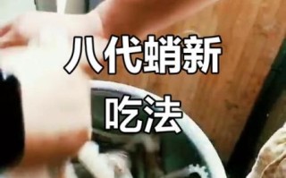 八代的做法大全_八代怎么做好吃