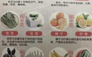 食物相生相克表大全_哪些食物不能一起吃
