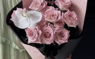 玫瑰花送情人图片_如何挑选浪漫花束