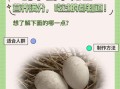 鸽子蛋怎么吃最好_鸽子蛋一天吃几个合适