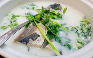 鱼头汤可以放什么配菜_鱼头汤配菜推荐