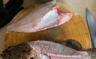 老虎斑鱼价格多少一斤_老虎斑鱼多少钱一斤