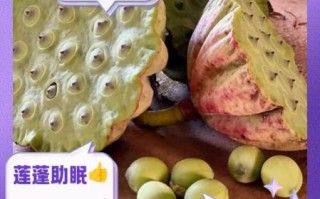 莲蓬的功效与作用_莲蓬怎么吃最养生