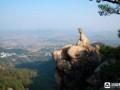 新泰旅游景点大全_哪些景点最值得去