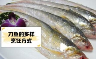 8000一斤的刀鱼为什么这么贵_刀鱼价格暴涨原因