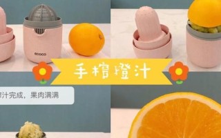 橙汁怎么做_橙汁的做法步骤