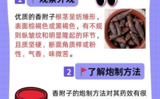 香附能治什么病_香附的副作用有哪些