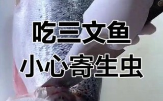 三文鱼寄生虫会寄生人体吗_如何避免感染