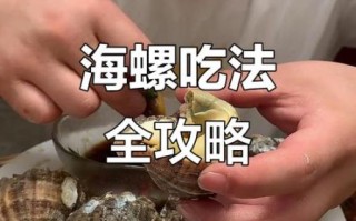 海螺怎么吃_海螺吃法视频教程