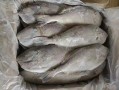 马面鱼和扒皮鱼区别_马面鱼和扒皮鱼哪个好吃