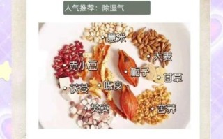 薏米大麦茶能天天喝吗_薏米大麦茶哪些人不能喝