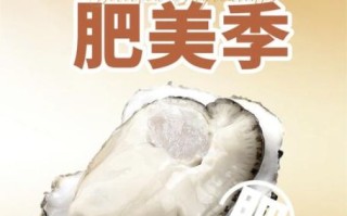生蚝什么季节最肥_生蚝什么季节最好吃