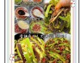 捞汁凉菜怎么做_捞汁怎么调才好吃