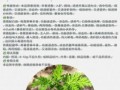青蒿素的作用是什么_青蒿素能治疗哪些疾病