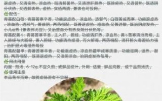 青蒿素的作用是什么_青蒿素能治疗哪些疾病 青蒿素的作用是什么_青蒿素能治疗哪些疾病