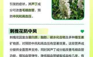 刺槐花的功效与作用_刺槐花怎么吃最好