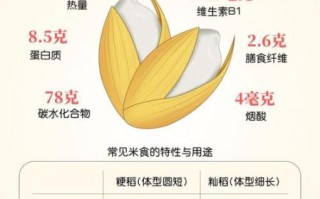 米饭的营养成分有哪些_米饭热量高吗