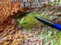 为什么成都叫天府之国_成都平原为什么如此肥沃