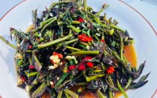 生腌香椿芽怎么做_香椿芽腌制多久能吃