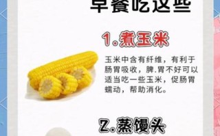 养肠胃吃什么食物最好_肠胃不好吃什么调理