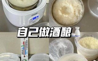 甜酒曲图片怎么看真假_甜酒曲图片选购技巧