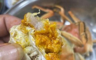 阳澄湖大闸蟹怎么清洗_大闸蟹清洗步骤