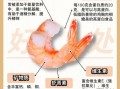 虾热量高吗_减肥能吃虾吗