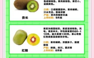 吃猕猴桃的好处和坏处_猕猴桃吃多了会怎样