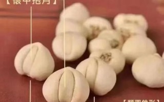 浙贝母和川贝母的区别_哪个止咳更好