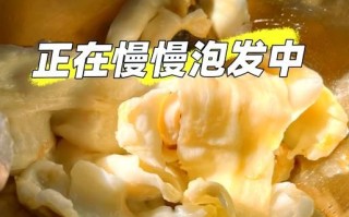 怎么发鱼肚最佳方法_鱼肚怎么泡发最快