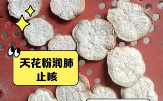 天花粉的功效与作用有哪些_天花粉图片怎么辨别真假