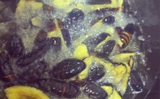 干煸蚕蛹怎么做才酥脆_干煸蚕蛹需要焯水吗