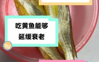 黄鱼的营养价值及功效_黄鱼怎么吃最补