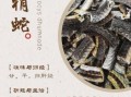 乌梢蛇的功效与作用_乌梢蛇能治什么病