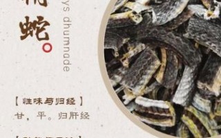乌梢蛇的功效与作用_乌梢蛇能治什么病