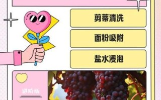 葡萄汁怎么洗掉_葡萄汁干了怎么洗