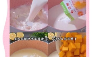 纯牛奶布丁怎么做_纯牛奶布丁的做法大全