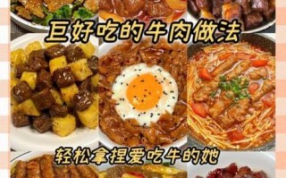 牛肉菜谱大全100道_怎么做才嫩