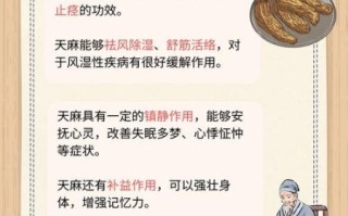 天麻的正确吃法_天麻用量一天吃多少克