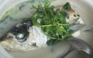 清炖鱼汤怎么做好喝_清炖鱼汤放什么去腥