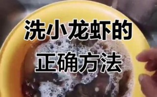 龙虾怎么清洗_龙虾清洗视频教程